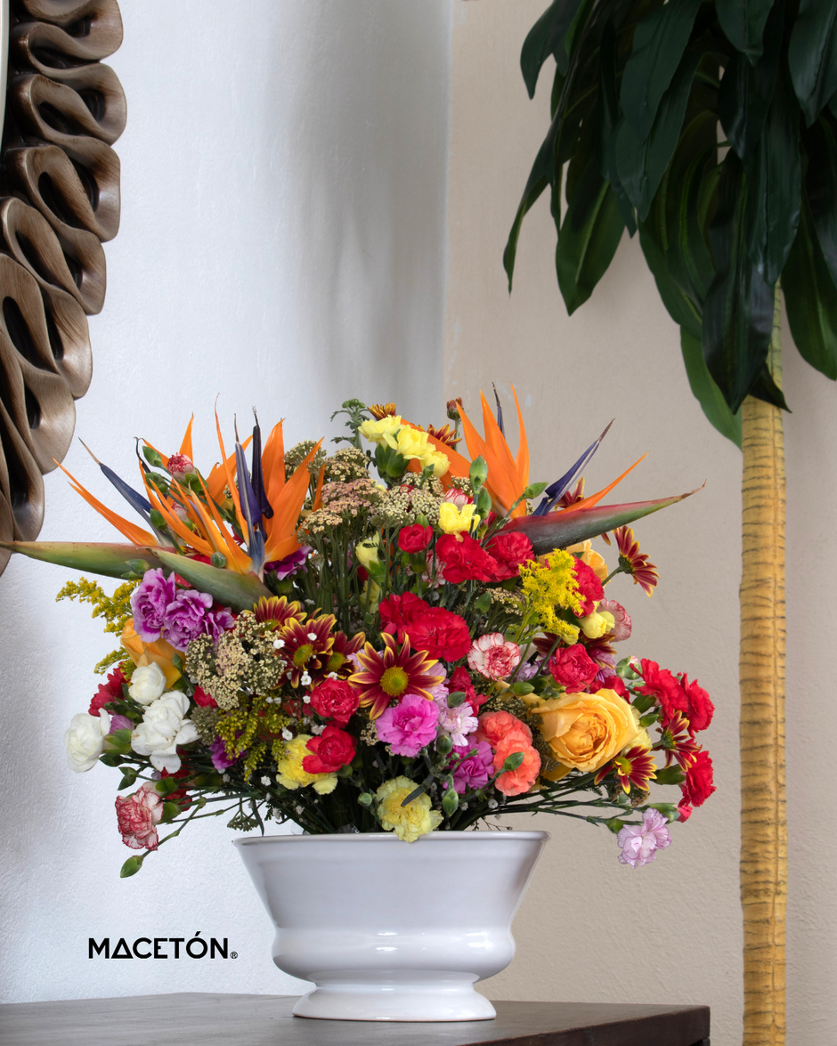 Macetón – maceton.com.mx