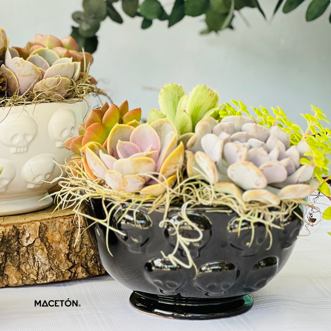 Set 2 Tazón Calaveras Black & White – maceton.com.mx