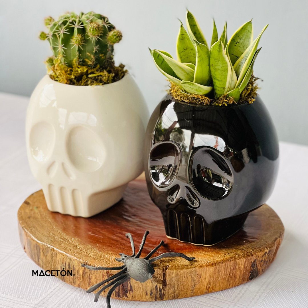 Cerámica de Tradición Familiar – maceton.com.mx