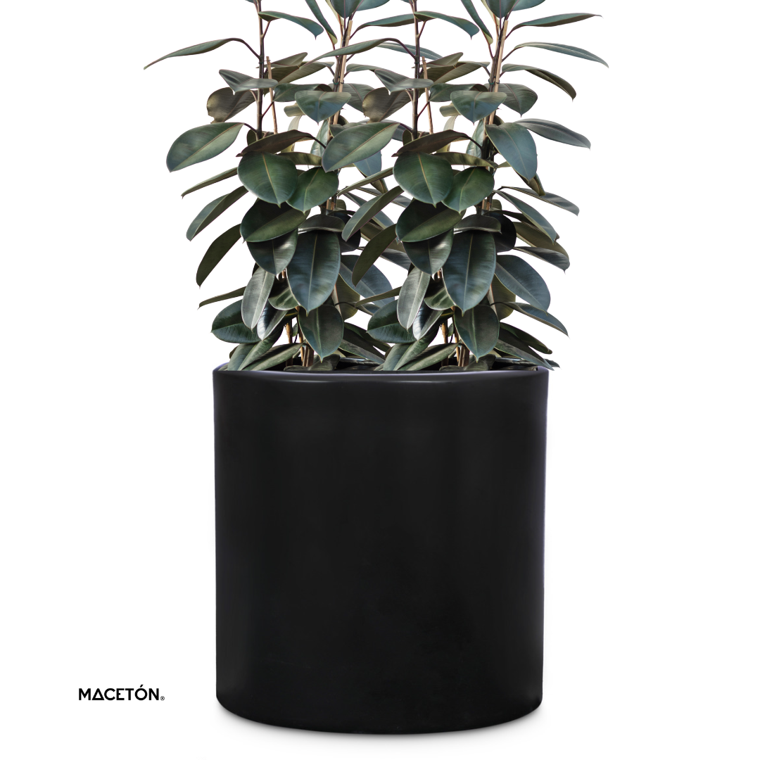 Cilindro Fibra De Vidrio Negro 30x30cm – maceton.com.mx