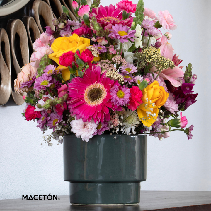 Macetón – maceton.com.mx