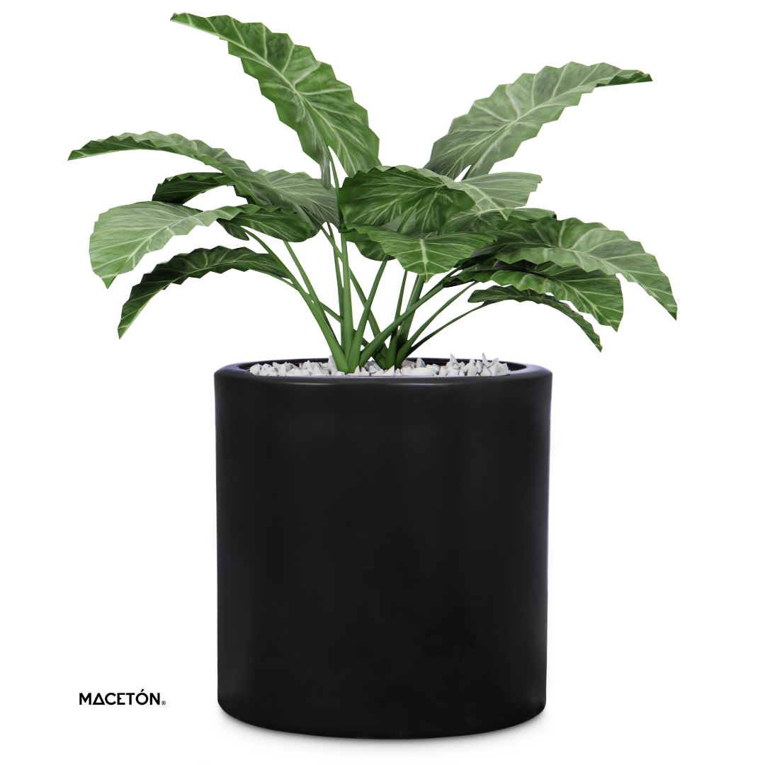 Macetas de Fibra de Vidrio – maceton.com.mx