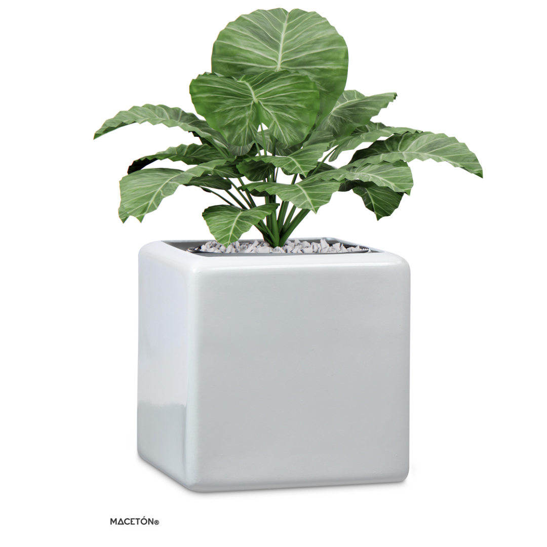 Cubo Fibra de Vidrio 50x50cm – maceton.com.mx