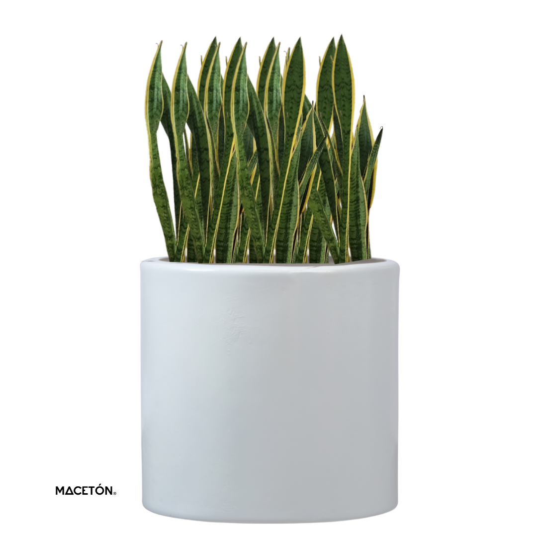 Cilindro Fibra de Vidrio Blanco 25x25cm – maceton.com.mx