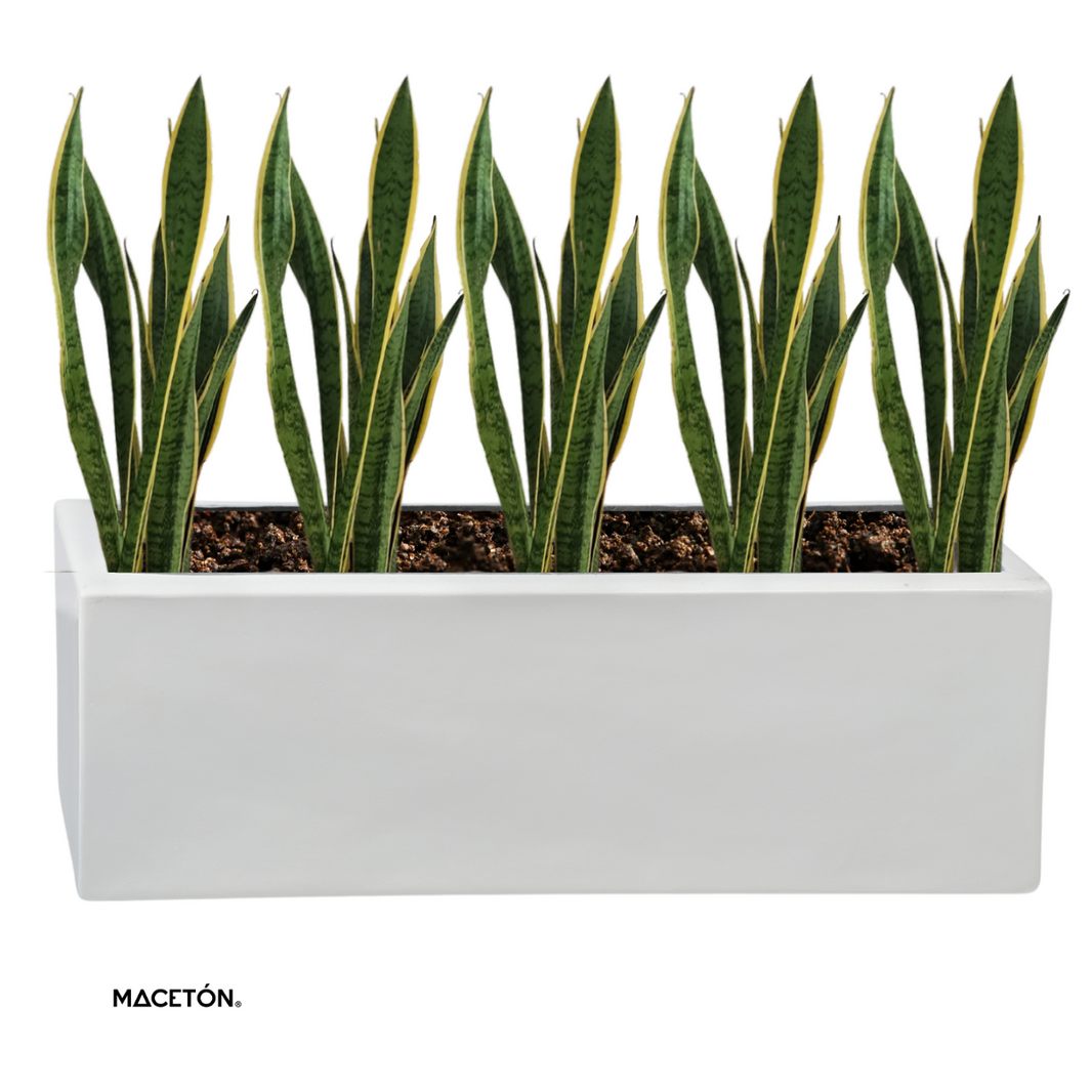 MACETÓN® | Cerámica de Tradición – maceton.com.mx