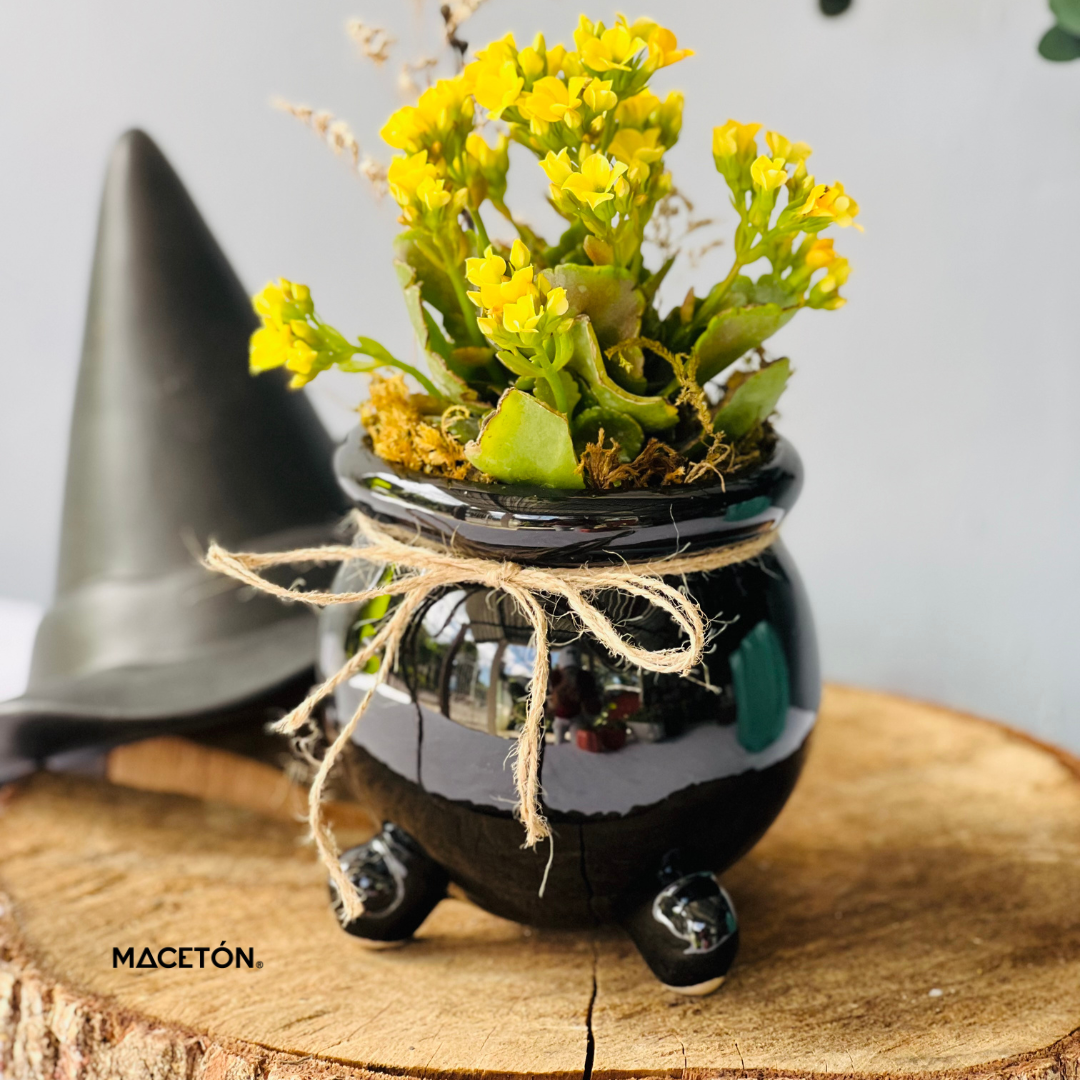 Cerámica de Tradición Familiar – maceton.com.mx