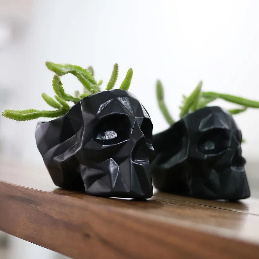 Cráneo Geométrico Negro – maceton.com.mx