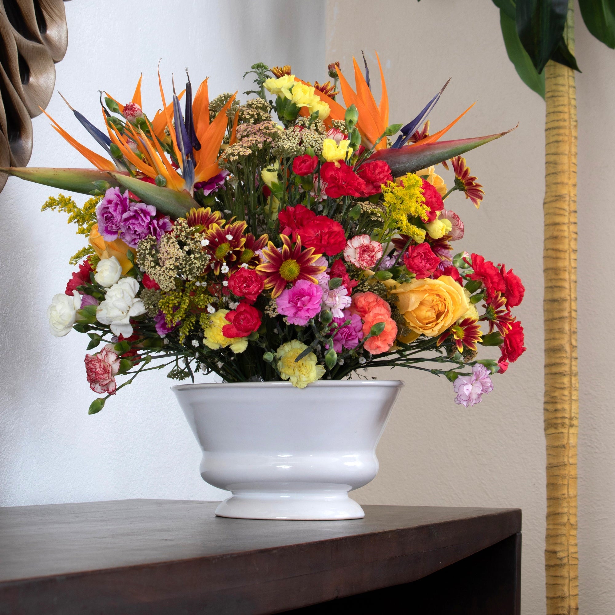 Paquete 6 Copa Atena – maceton.com.mx