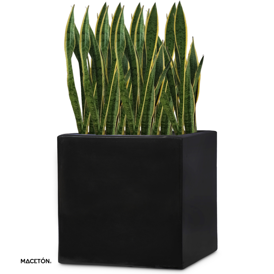 MACETÓN® | Cerámica de Tradición – maceton.com.mx